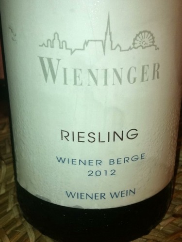 Wieninger Wiener Berge Riesling | Vivino US