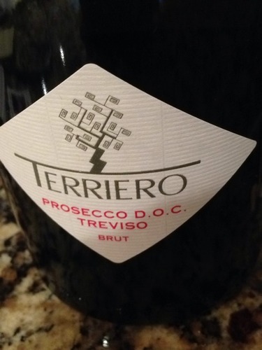 Terriero Prosecco Treviso Brut | Vivino English