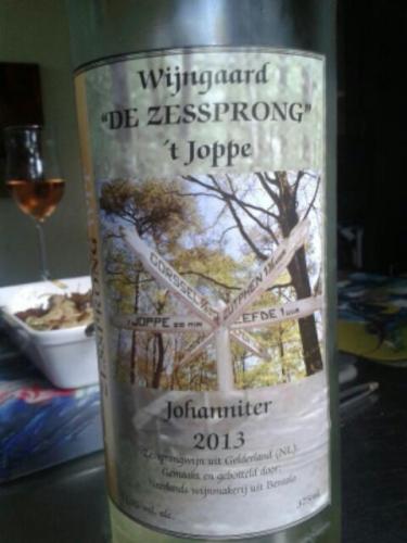 Wijngaard de Zessprong T Joppe Johanniter | Vivino US