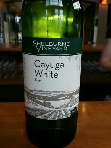 2020 Shelburne Vineyard Cayuga White | Vivino US