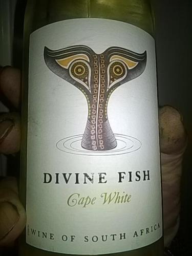 Divine Fish Cape White | Vivino US