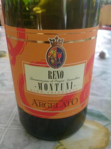 Argelato Montuni Frizzante | Vivino US