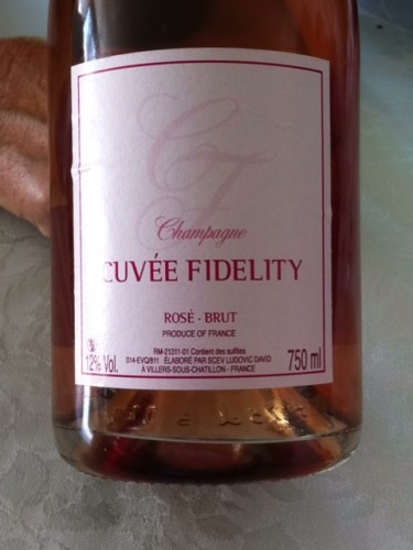 Ludovic David Cuvée Fidelity Rosé Brut Champagne | Vivino US
