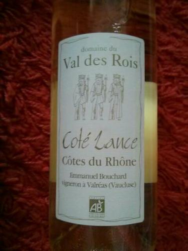 2010 Domaine du Val des Rois Côte Lance Côtes du Rhône | Vivino US