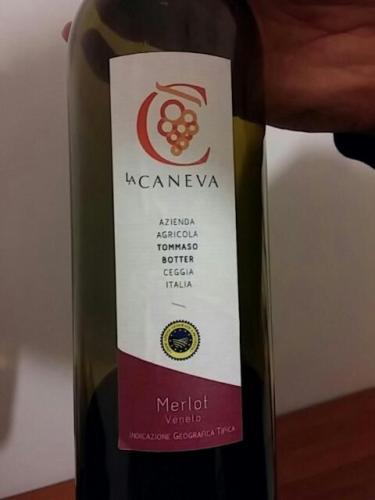 Tommaso Botter La Caneva Ceggia Merlot | Vivino US