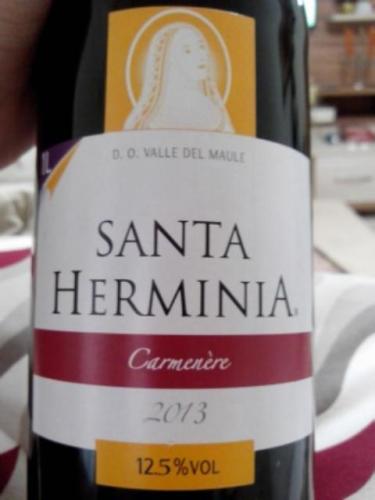 Santa Herminia Carmenère | Vivino US