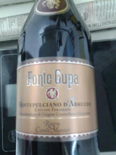 Camillo Montori Fonte Cupa Montepulciano d'Abruzzo Colline Teramane ...