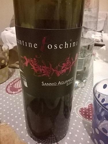 Cantine Foschini Sannio Aglianico | Vivino US