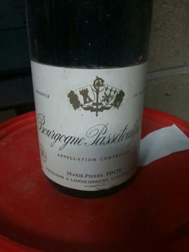 1983 Marie Pierre Pinte Bourgogne Passetoutgrain | Vivino US