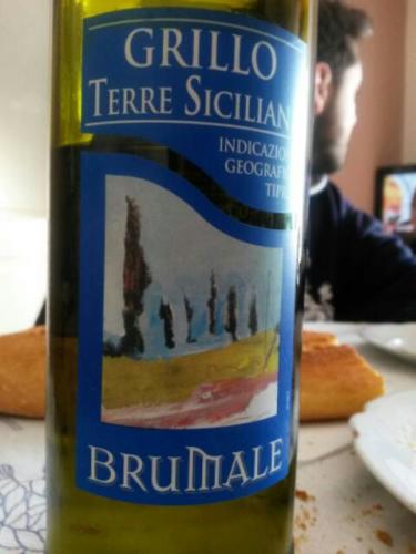 Brumale Grillo | Vivino US
