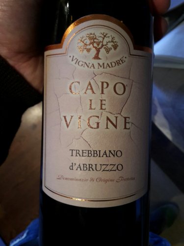 Vigna Madre Capo Le Vigne Trebbiano d'Abruzzo | Vivino US