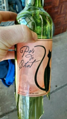 Pas de Chat Mendoza Malbec | Vivino US