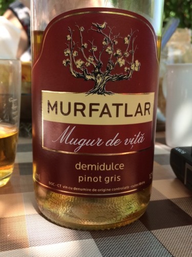Murfatlar Vinul Mugur de Vitá Pinot Gris Demidulce | Vivino US
