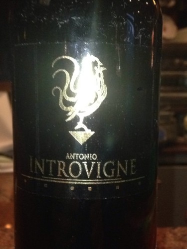 Antonio Introvigne Red | Vivino Brasil