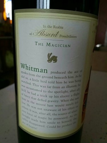 Realm Absurd The Magician | Vivino