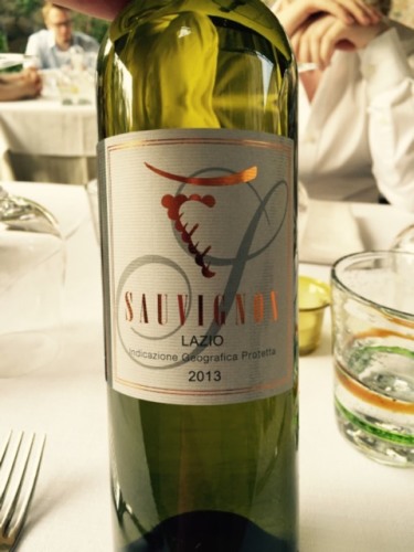 Monte Due Torri Sauvignon | Vivino US