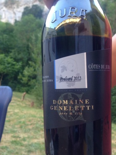 2017 Geneletti Poulsard Côtes du Jura Rouge | Vivino US