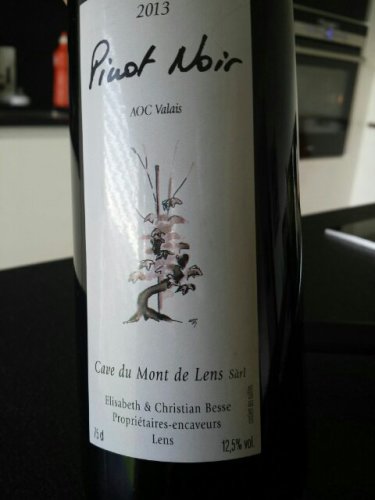 Elisabeth & Christian Besse Pinot Noir Valais Mont De Lens | Vivino US
