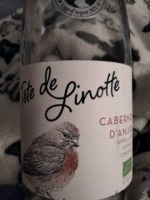 Albert Besombes Tête de Linotte Cabernet d'Anjou | Vivino English