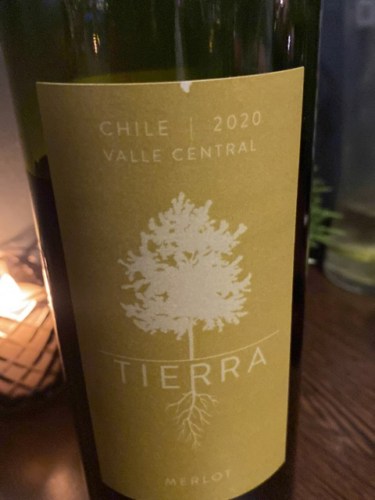2020 Tierra Merlot | Vivino US