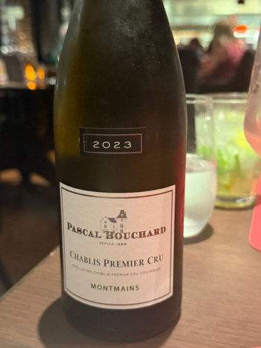 Pascal Bouchard Chablis Premier Cru 'Montmains' | Vivino English