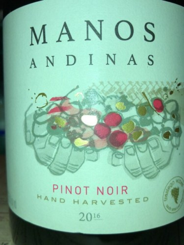 Manos Andinas Pinot Noir | Vivino France