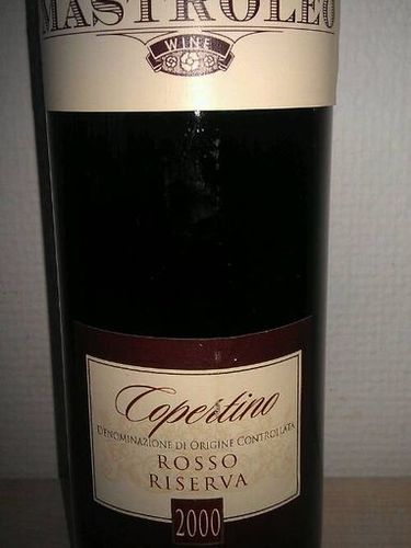 Mastroleo Copertino Riserva Rosso | Vivino US