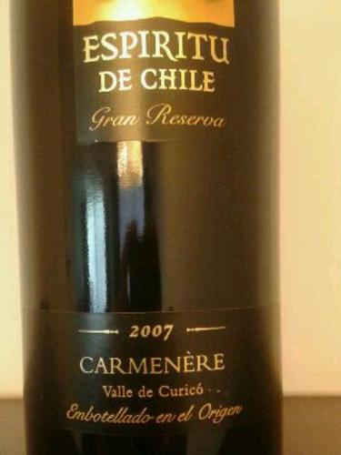 Espíritu de Chile Gran Reserva Carmenère | Vivino US