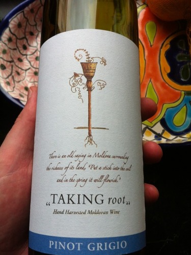 Acorex Wine Holding Taking Root Pinot Grigio | Vivino US