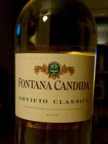 Fontana Candida Orvieto Classico Secco | Vivino US