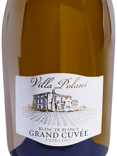 Villa Polani Grand Cuvée Blanc de Blancs Extra Dry | Vivino English