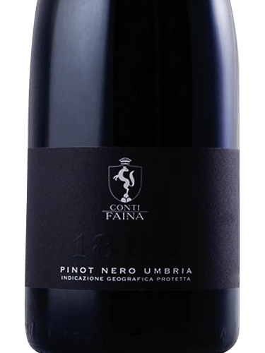 Conti Faina 1883 Pinot Nero Umbria | Vivino English