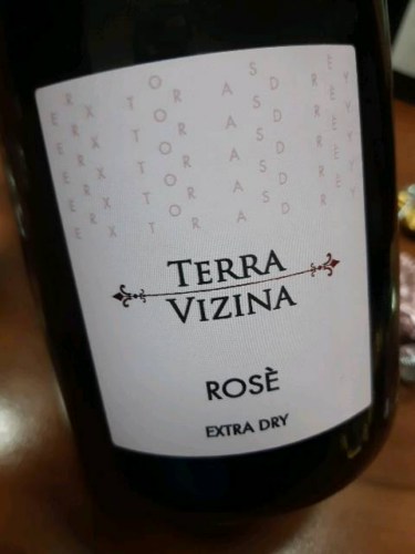 Terra Vizina Rosé Extra Dry | Vivino US