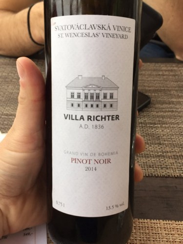 Villa Richter Pinot Noir | Vivino US