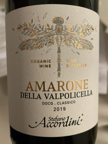 Stefano Accordini Amarone della Valpolicella Classico Biologico | Vivino US