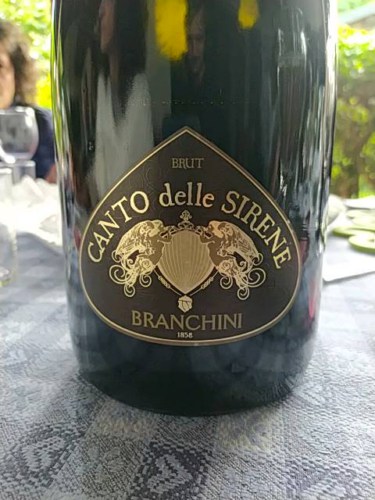 2019 Branchini Canto delle Sirene Brut | Vivino US