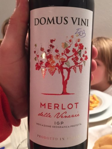 Domus Vini Merlot | Vivino France