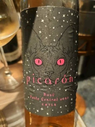 Picarón Rosé | Vivino Português (Brasil)