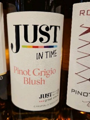 Just Wines In Time Pinot Grigio Blush | Vivino US