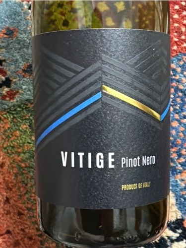 Terre Cevico Vitige Pinot Nero | Vivino US