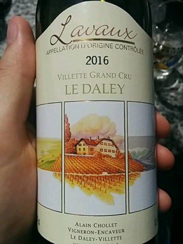 Alain Chollet Le Daley Villette Grand Cru | Vivino