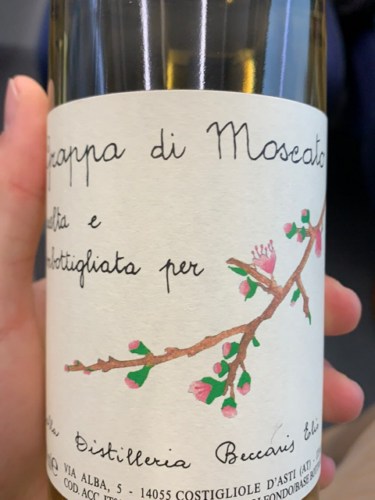 N.V. Distilleria Beccaris Grappa di Moscato | Vivino US