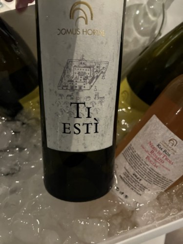 Domus Hortae Ti Esti' Fiano | Vivino Italia
