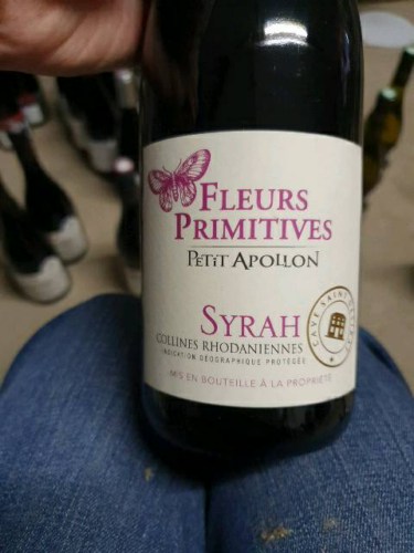 Cave Saint Désirat Petit Apollon Fleurs Primitives Syrah | Vivino US