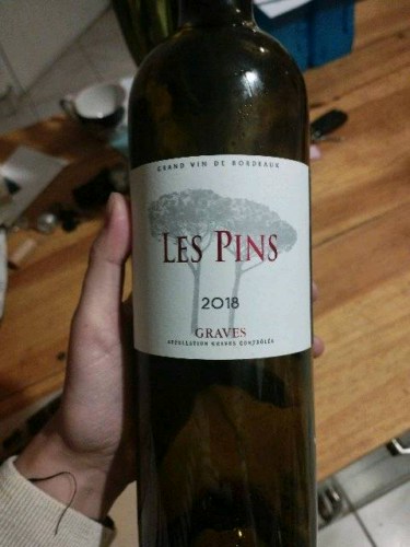 Château Haut-Bergeron Les Pins Bénis Graves | Vivino US