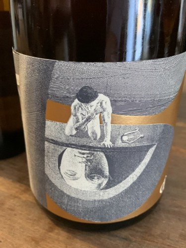 Ducal Renski Rizling Amfora | Vivino US