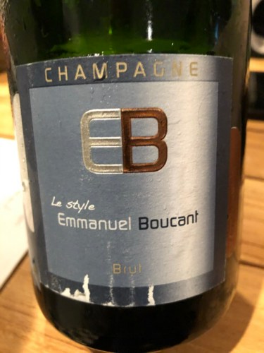 Champagne Emmanuel Boucant Le Style Brut Champagne | Vivino US