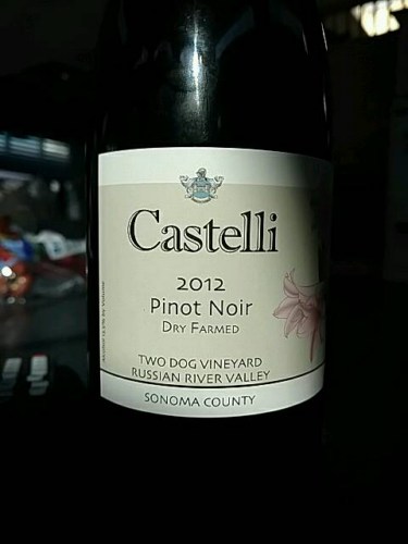 Castelli Family Vineyards Two Dog Vineyard Pinot Noir Dry Farmed ...