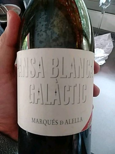 Raventos d'Alella Pansa Blanca Galáctic | Vivino US