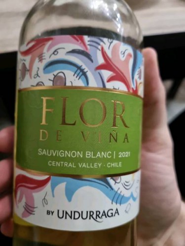 Undurraga Flor de Viña Sauvignon Blanc | Vivino US